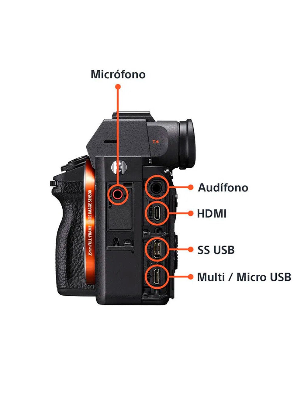 Sony Alpha 7 III Cámara Con Sensor de Imagen Full-Frame de 35 mm ...